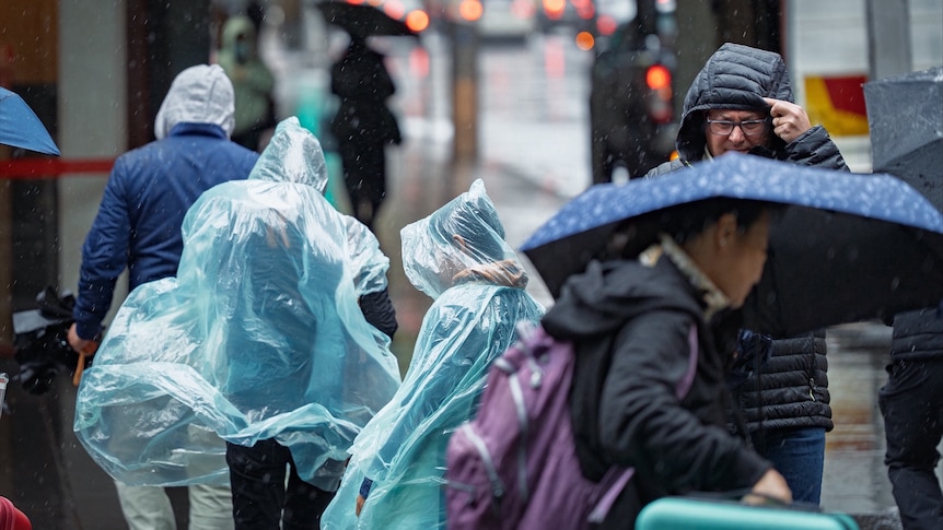 Blacktown Weather Forecast, NSW 2148 - WillyWeather