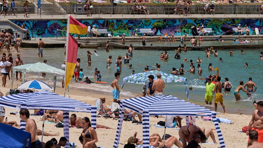 Heatwave and fire threat forecast for NSW, Victoria and SA as ...