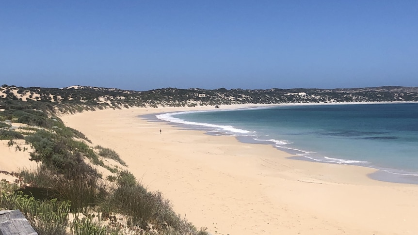 'Catastrophic' fire danger forecast for eastern Eyre, Yorke Peninsula ...