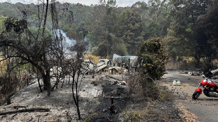 Heatwave live: Fire alert for NSW amid high 40s heat, as structures ...